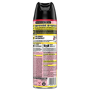 Raid Ant & Roach Killer Lemon Scent, 17.5 OZ (Pack - 3)