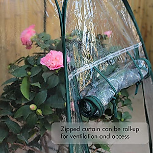 Gardzen 27"x27"x31" Pop up Grow Greenhouse Small Greenhouse, Portable Plant Flowers Mini Green House Cover for Outdoor & Indoor Use