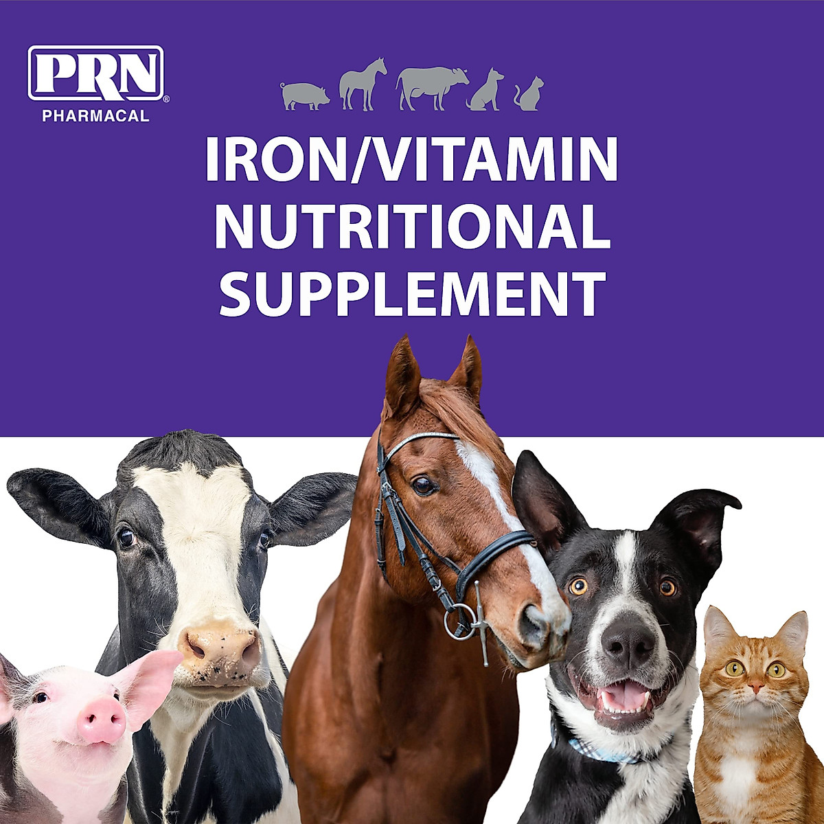 PRN Pharmacal Liqui-Tinic 4X - Iron & Vitamins Oral Nutritional Supplement for Pets- Liver-Flavored Supplement with Iron & B-Complex Vitamins to Support Wellness - 2 fl oz (3 Pack)