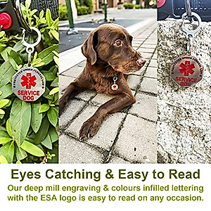 CIREGE Double Sided Service Dog Tag with Red Medical Alert Dog Identification, Service Dog Medallion, Stainless Steel, Stone Polishing Process, Durable, Psychiatric Service Dog Patch with Clip