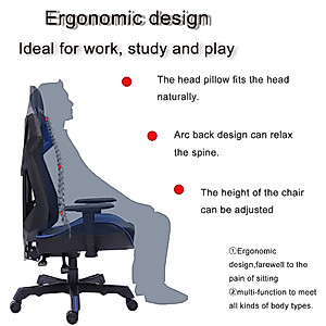 RAPTAVIS Gaming Chair Computer Ergonomic Office Chair Backrest and Seat Height Adjustable Swivel Recliner with Lumbar Cushion Esports Mesh Chair(Blue/Mesh)