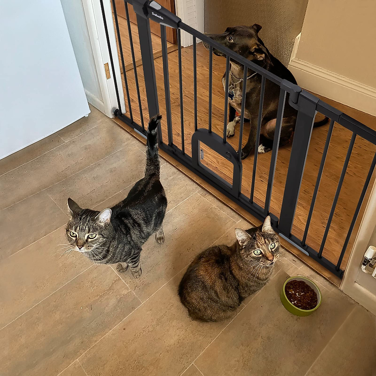 Babelio 29-48" Extra Wide Baby Gate with Adjustable Cat Door,Easy Install Pressure/Hardware Mounted,Auto Close Pet door for Stairs,House,Doorways,Effortless Walk Thru,Black