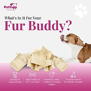 PetYupp Water Buffalo Cheek Chips Dog Chew - 1 lb - 100% Natural Dog Treats - for Small, Medium & Large Dog, High-Protein & Low-Fat Dog Treats, Promotes Dental Health - Non-GMO & No Additives