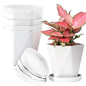 bisenwin Plant Pots Indoor Plastic Flower Pots Outdoor 5 inch Set of 6 Pack with Drainage Holes and Saucers for Garden pots (5 inch 6 pcs)