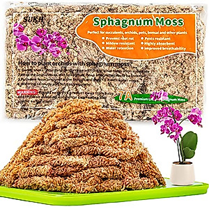 Sukh 5oz Sphagnum Moss for Plants - Sphagnum Peat Moss Natural Premium Long Fibered Chile Dried Moss Potting Mix for Orchids Succulent Carnivorous Potted Plant Reptiles Medium Sarracenia