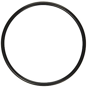 Pentair 272541 O-Ring Replacement Pool/Spa Filter and Valve, Black