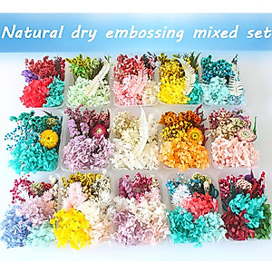 Dried Pressed Flowers Mixed Box for Resin Random, with 1 Tweezers, Real Natural Dry Mixed Flowers Leaves Bulk Herbs Kit for Scrapbooking DIY Art Crafts, Nail, Candle, Soap Making