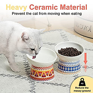 YauYik Raised Cat Food Bowls - Ceramic Tilted Cat Food and Water Bowl Set - Elevated Pet Feeding Bowls Stress Free for Kitten Elder Cats Small Dogs, Anti Vomiting, Neck Protection, Set of 2
