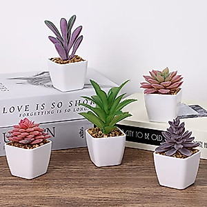 CEWOR 9pcs Artificial Succulent Plants in Pots, Faux Succulents Small Potted Fake Plants with Plastic Pots for Office Home Desk Shelves Bedroom Decoration