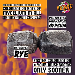 DrMyc.com Magical Gypsum for Mushroom Substrates - Lab Grade Purity Gypsum with Organic Humic Acid, Biochar, Sucrose & MGP Microbes for Mushroom Growing (3.0 lbs)