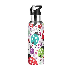 xigua Ladybug Water Bottle Double Walled Stainless Steel Leak Proof Thermo Flask for Sports Gym Cycling Outdoor,20 oz.
