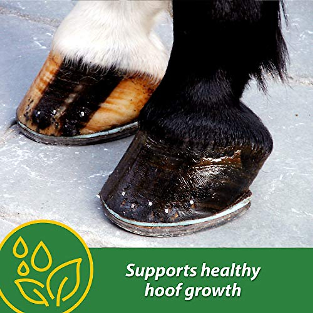 Farnam HB 15 Hoof Supplement, Supports Healthy hoof Growth 3 Pound, 48 Day Supply