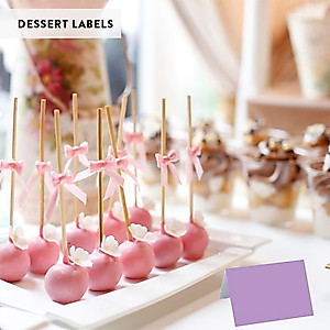 Andaz Press Table Tent Printable Place Cards, Lavender 20-Pack, Seat Placement Cards Blank Place Cards For Table Settings Name Cards for Bridal Wedding, School Graduation Food Cards Purple Place Cards