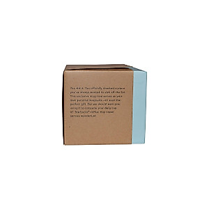 Starbucks Been There Series Massachusetts Ceramic Mug, 14 Oz