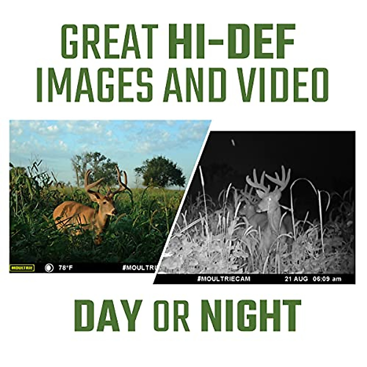 Moultrie Delta Cellular Trail Camera Verizon