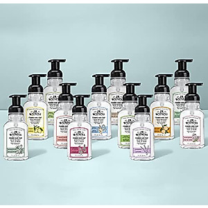 J.R. Watkins Foaming Hand Soap Pump with Dispenser, Moisturizing All Natural Hand Soap Foam, Alcohol-Free, Cruelty-Free, USA Made, Use as Kitchen or Bathroom Soap, Grapefruit, 9 fl oz, 6 Pack