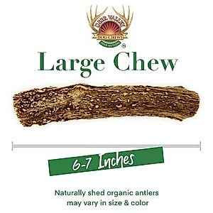 Deer Valley Chews Premium Deer Antler for Dogs - Large 6-7 Inches Long, Single Antler - All Natural Dental Treat for Teething and Chewing - Premium Grade, Naturally Shed
