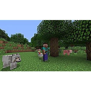 Minecraft (PS4)