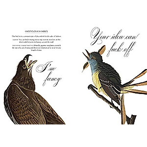 Effin' Birds: A Field Guide to Identification