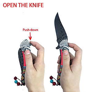 Labstandard American Indian Style Pocket Folding Knife with 3.5”Stainless Steel blade and Acrylic and Steel Handle with liner-lock and knife tail (black)