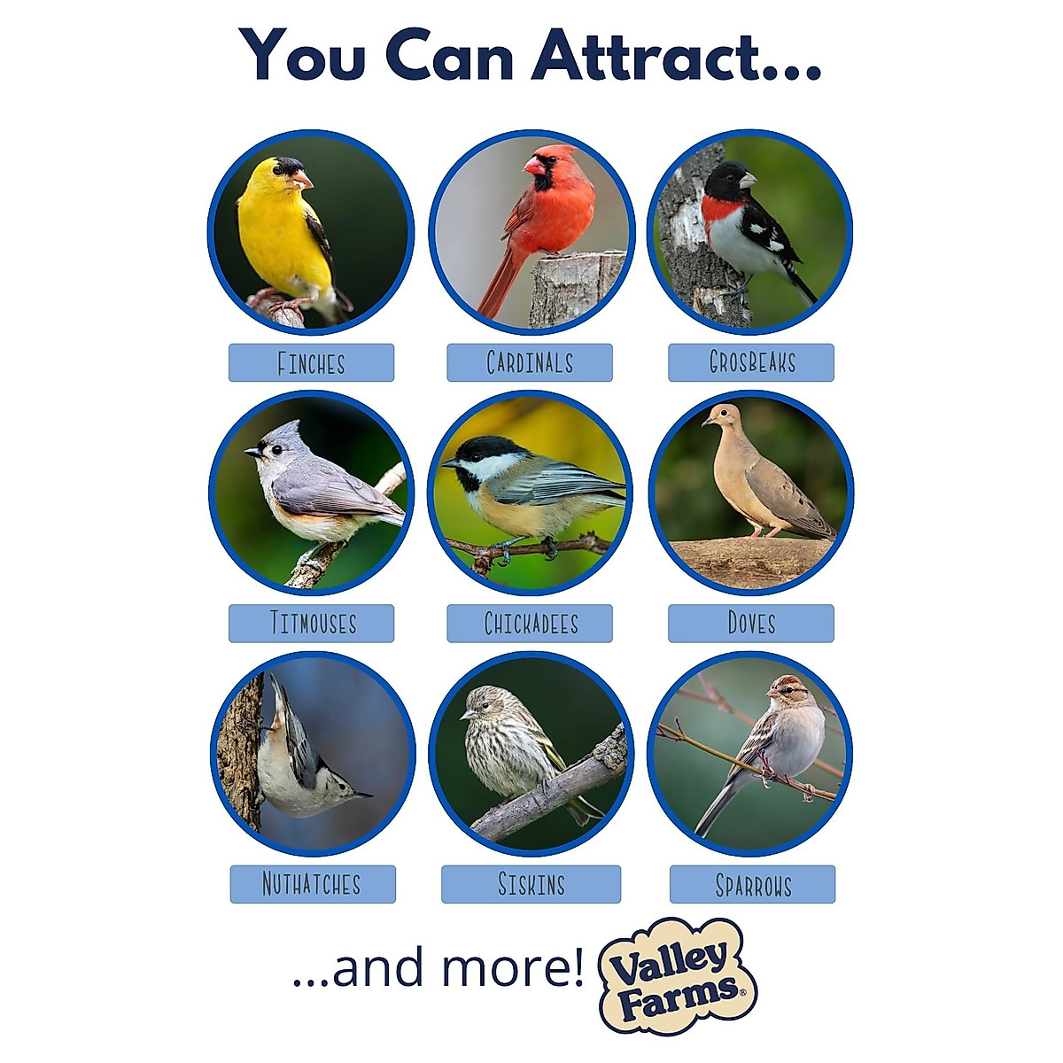 Valley Farms Hi-Flite Wild Bird Food for Outside Feeders- Best Value Economy Wild Bird Seed for All Species of Birds with Black Oil Sunflower, 5 LBS 2-Pack (10 LBS Total)