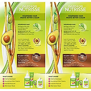 Garnier Hair Color Nutrisse Ultra Color Nourishing Creme, B4 Golden Mahogany Brown (Caramel Chocolate) Permanent Hair Dye, 2 Count (Packaging May Vary)