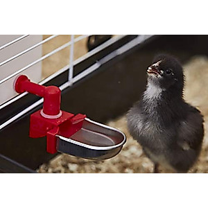 RentACoop DIY Small Animal Watering Metal Cups KIT for Small Animals/Pet/Bunny/Ferret/Chicken/Hamster/Guinea Pig/Rabbit/Chinchilla/Mouse/Rat