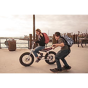 Dakine 365 Pack 21L - Crescent Floral