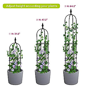 Garden Obelisk Trellis for Climbing Plants Outdoor 6 Ft Rose Bush Round Trellis for Pots Rustproof Metal Plant Flower Trellises for Clematis Vine Jasmine Support Outdoor Indoor