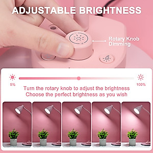 BOHON LED Desk Lamp Reading Light Eye-Caring 3 Color Modes 10 Brightness Dimmer USB Study Book Clamp Lamp 360° Flexible Clip on Night Light for Headboard Bedroom and Office