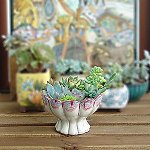Summer Impressions 6 Inch Glazed Terracotta Succulent Planter with Drainage Hole Clear Plant Saucer Cactus Planter Pot Bonsai Pot Clay Pot Flower Pot (Lotus Red with Saucer)