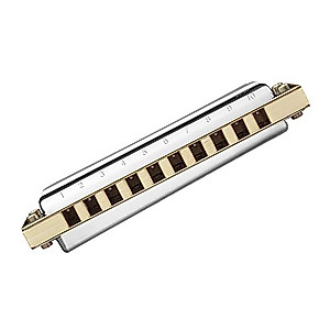 WAAZVXS Diatonic Harmonica 10 Hole 20 Tones Blues Harp Mouth Organ Instrumentos Diatonic Key of C Musical Instruments (Color : Key of Low G)
