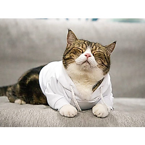 Craft Express Sublimation Blank White Pet Hoodie - Medium, Large, and Extra Large Size Hoodies for Pets Ready to be Personalized - Set of 2 (XX-Large)