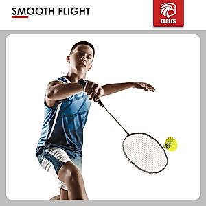 EAGLES Badminton Birdies Nylon Feather Bedminton Shuttlecocks - Plastic Birdie Ball Set for Indoor & Outdoor Baseball Practice ~ Stable & Durable Shuttle Cocks for Kids & Adults (12 Pack Yellow)