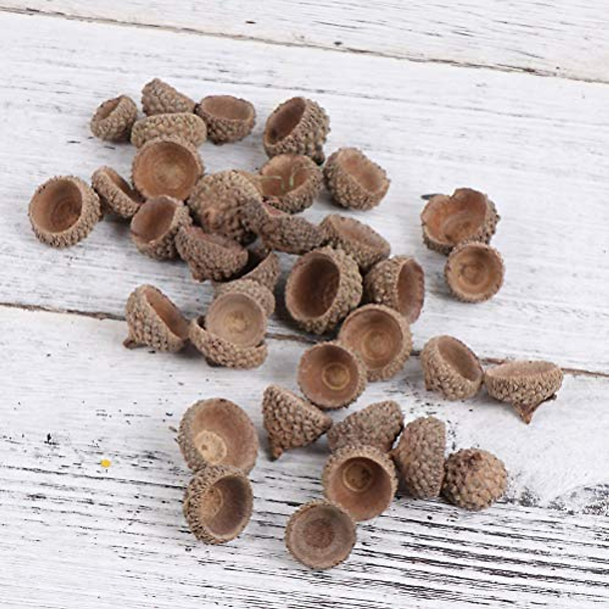 Ciieeo Natural Acorns Top Bulk Real Rustic Acorns Caps for Craft Christmas Thanksgiving Pine Cone Ornament Winter Xmas Tree Wreath Vase Filler Decoration 50PCS