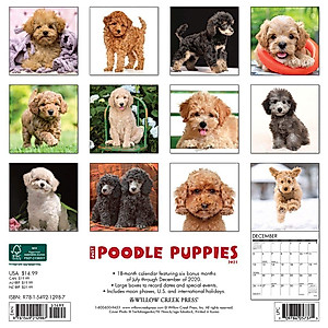 Just Poodle Puppies 2021 Wall Calendar (Dog Breed Calendar)