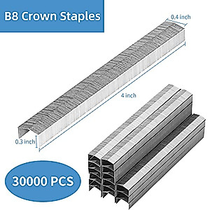 30000 Pieces B8 Crown Staples Standard Staples Heavy Duty Staples 1/4 Inch Leg Length for B8 Staplers Home School Office