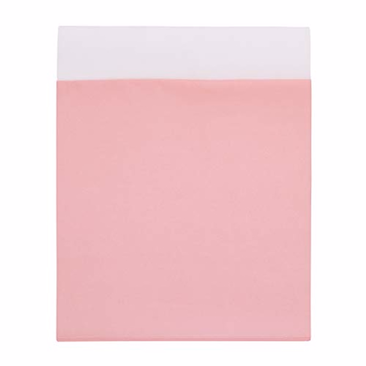 Little Love by NoJo Desert Flower - Fox and Feathers Pink, Grey and Aqua 3 Piece Crib Bedding Set- Comforter, Fitted Crib Sheet, Dust Ruffle