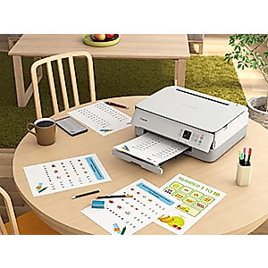 Canon Wireless Pixma Inkjet All in One Printer with Scanner - High Resolution Fast Speed Printing Compact Size Up to 4800x1200 DPI Color Resolution, Bonus Set of NeeGo Ink and 6 Ft Printer Cable