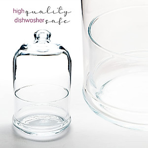 The Buybox Terrarium Glass Jar with Lid for Plants, Premium Glass Container, Food Storage,Keeper,Saver