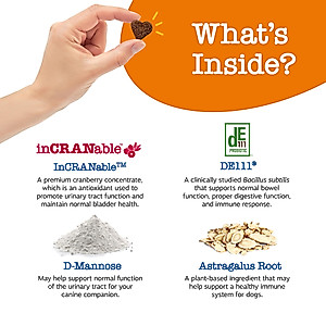 Zesty Paws Senior Cranberry Supplement for Dogs - Bladder Bites for Dogs - Kidney & Urinary Tract for Dogs - Soft Chews with D-Mannose, Vitamin B6 & L-Arginine - Chicken - 90 Count