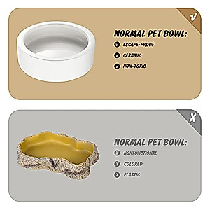 Reptile Food Dish Bowl, Worm Water Dish Small (2.75in) Lizard Gecko Ceramic Pet Bowls, Mealworms Bowls for Leopard Bearded Dragon Chameleon Hermit Crab Dubia Cricket Anti-Escape Mini Superworm Feeder