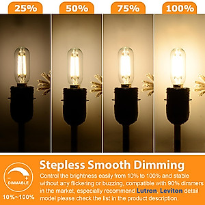 E12 Edison LED Light Bulbs 40 Watt Equivalent Candelabra, Dimmable 2700K Warm White T6 Clear LED Bulbs 4W 400lm Vintage T25 for Chandelier Ceiling Fan, Tubular Small Filament Bulbs, 6 Packs