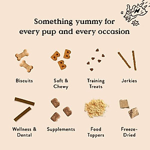 Bocce's Bakery Jerky Stick Dog Treats, Wheat-Free, Made with Limited-Ingredients, Baked in The USA with No Added Salt or Sugar, All-Naural & High-Protein, Chicken & Pumpkin, 4 oz