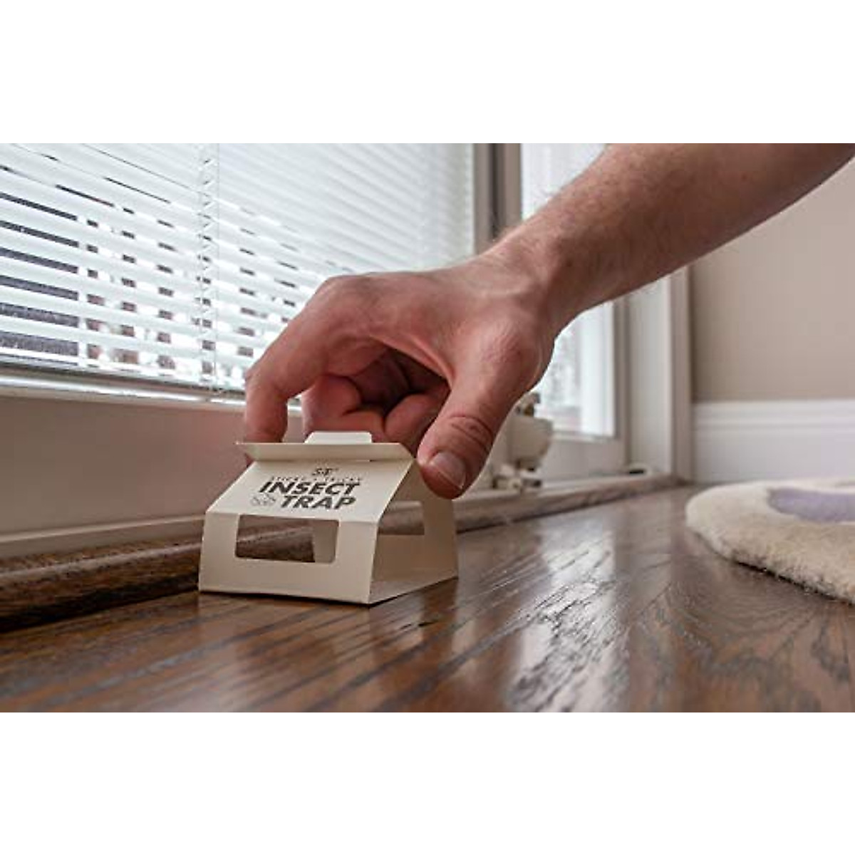 S&T INC. 512501 30pk Insect Traps, Brown Recluse, Hobo Spiders, Black Widows, White, 30 Count