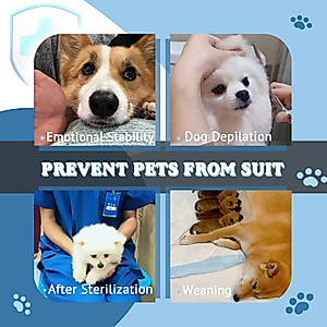 TORJOY Breathable Dog Surgery Recovery Suit for Male/Female, Professional Dog Recovery Onesie with Zipper After Spay Abdominal Wounds, Anti Licking Cone E-Collar Alternative for Small Medium Large Dog