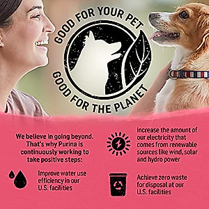 Purina Beyond Natural Dry Dog Food, Superfood Blend Salmon, Egg & Pumpkin Recipe - 3.7 lb. Bag