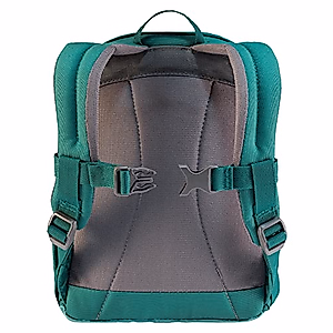 Deuter Pico Kid's Backpack for School and Hiking - Dustblue-Alpinegreen