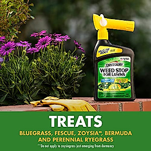 Spectracide Lawn Weed Killer, 32 oz, Clear