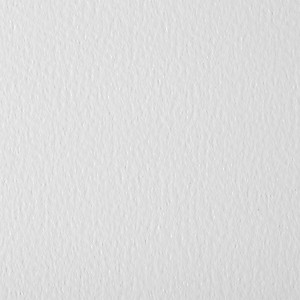 New York Central Watercolor Paper Sheets, 22x30 Inch, 140lb Rough Press, 10 Sheets - Professional Grade, Acid-Free, Archival - for Wet and Dry Media